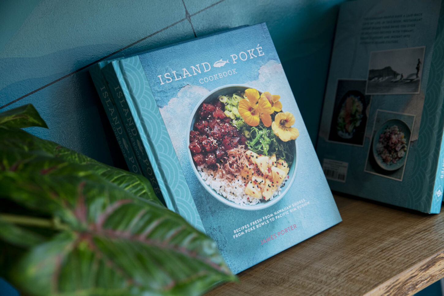 Styleguide - Island Poké